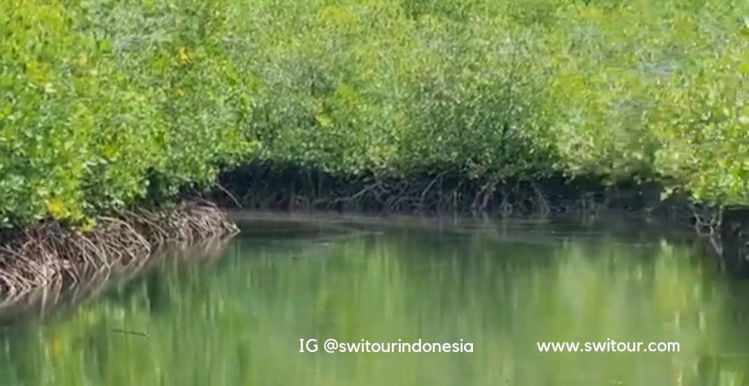 Padang Mandeh Tour Package 4 Days 3 Nights – Mandeh Islands West ...
