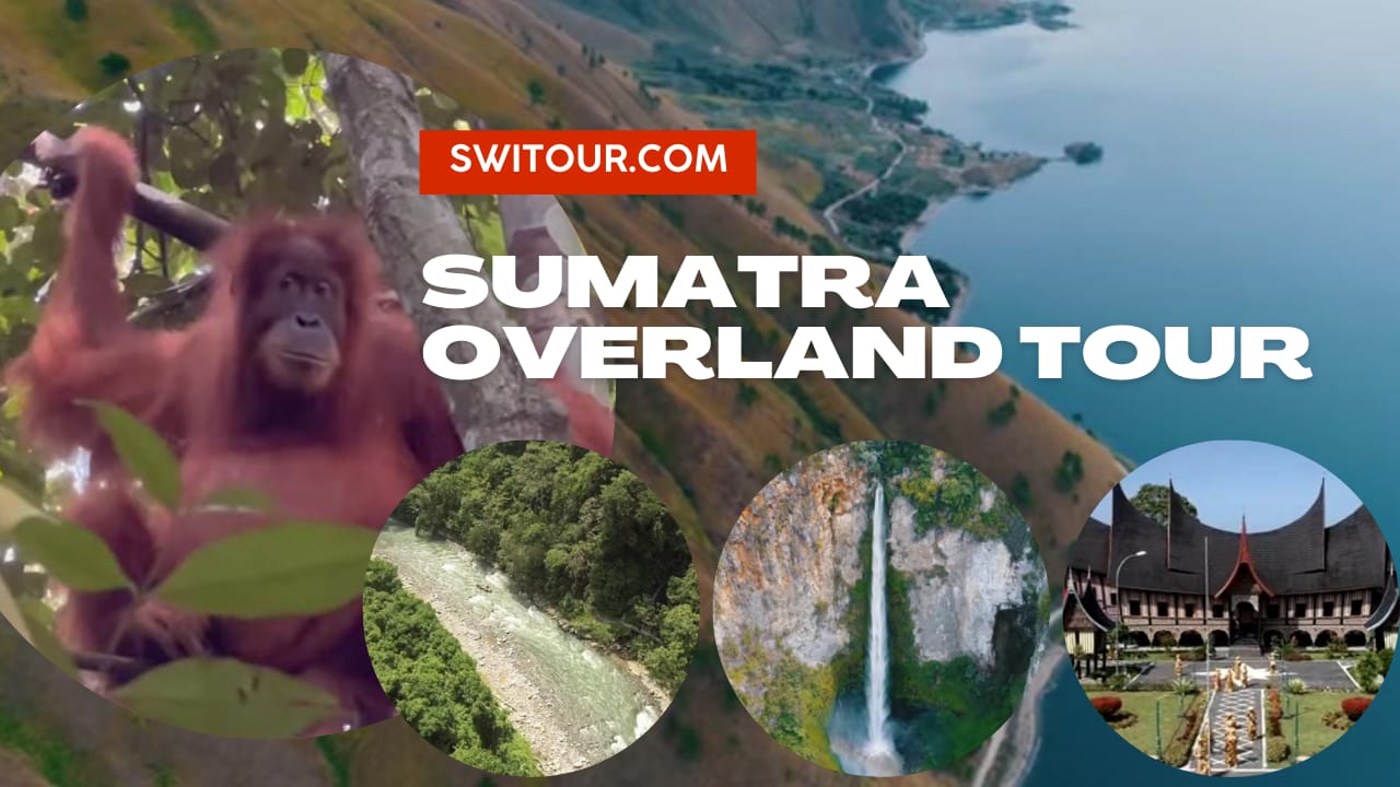 Sumatra Overland Tour Package, Medan, Bukit Lawang, Lake Toba & Padang ...