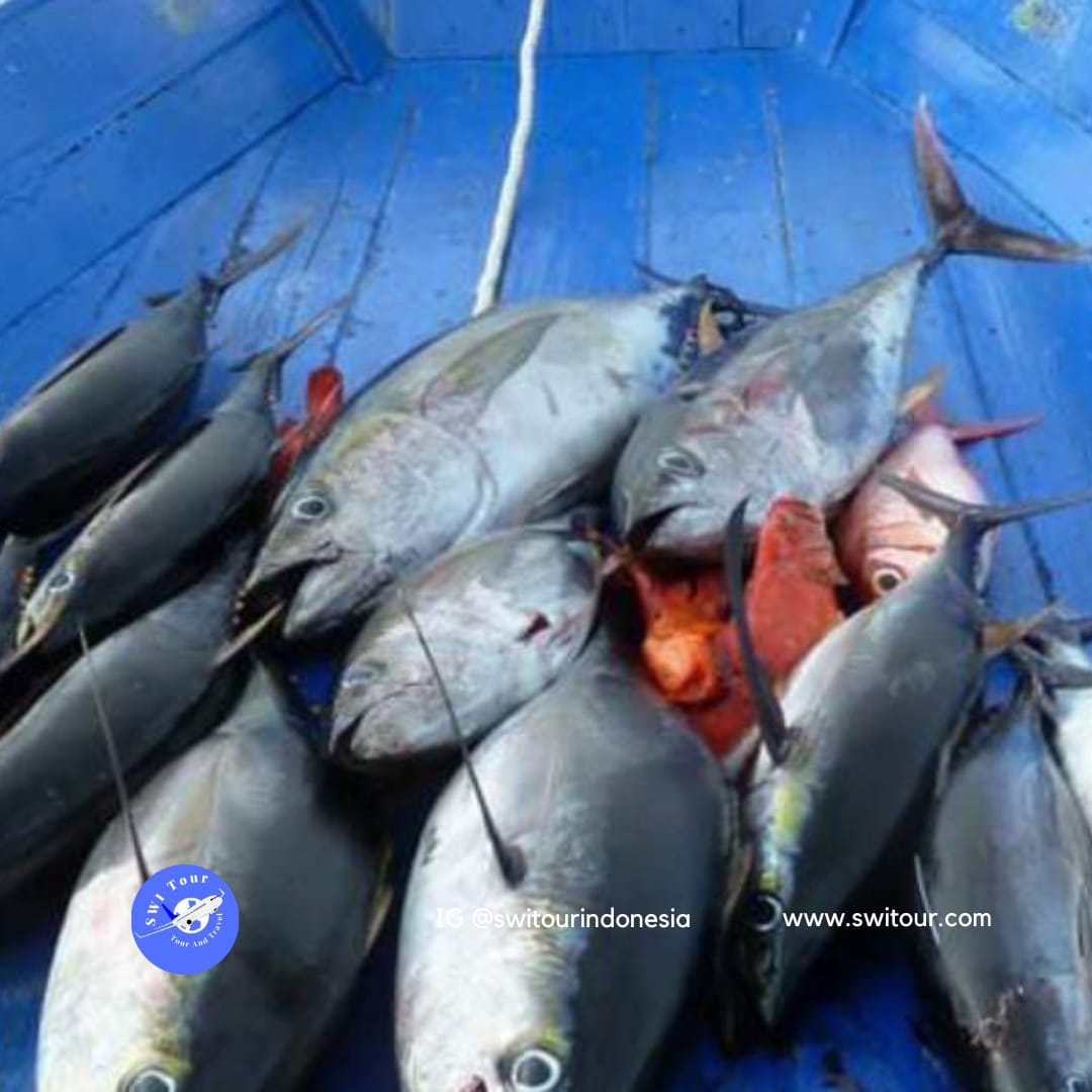 Sumatra Fishing Stayonboat & Overland Tour Package, Mentawai Day Trip ...